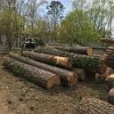 Sharper Edge Tree Care - 3900 South Bogan Road - Cybo