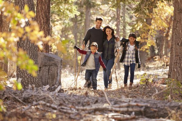 Crystal Creek Homes | (403) 254-6499 | Calgary